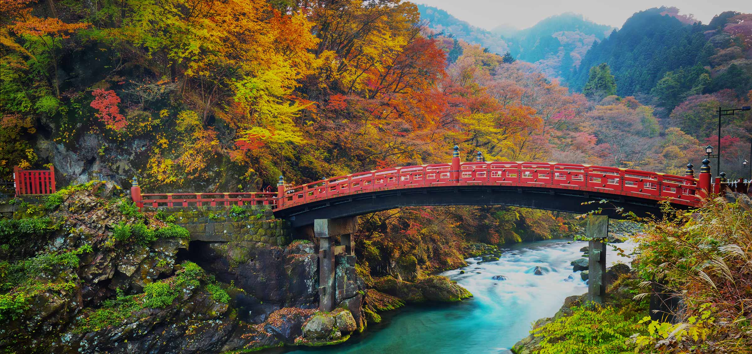 VELTRA tours & activities, fun things to do