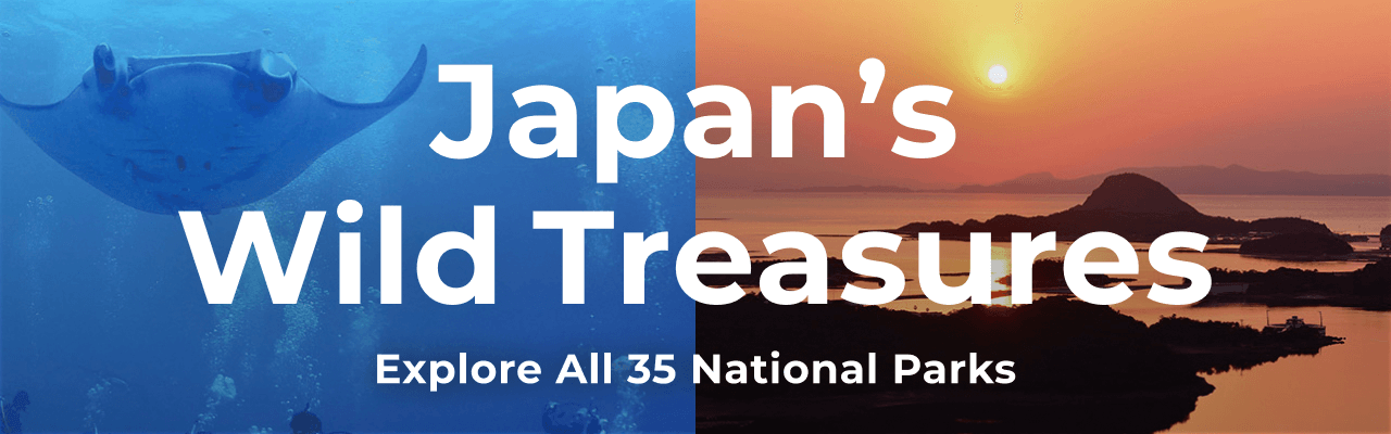 Tsutenkaku "TOWER SLIDER" Advance Booking - A Thrilling Interactive Attraction - Osaka - VELTRA