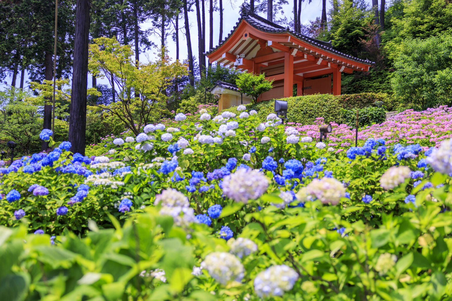 宇治観光のモデルコースはこれ！おすすめスポット30選も紹介 | VELTRA旅行ガイド