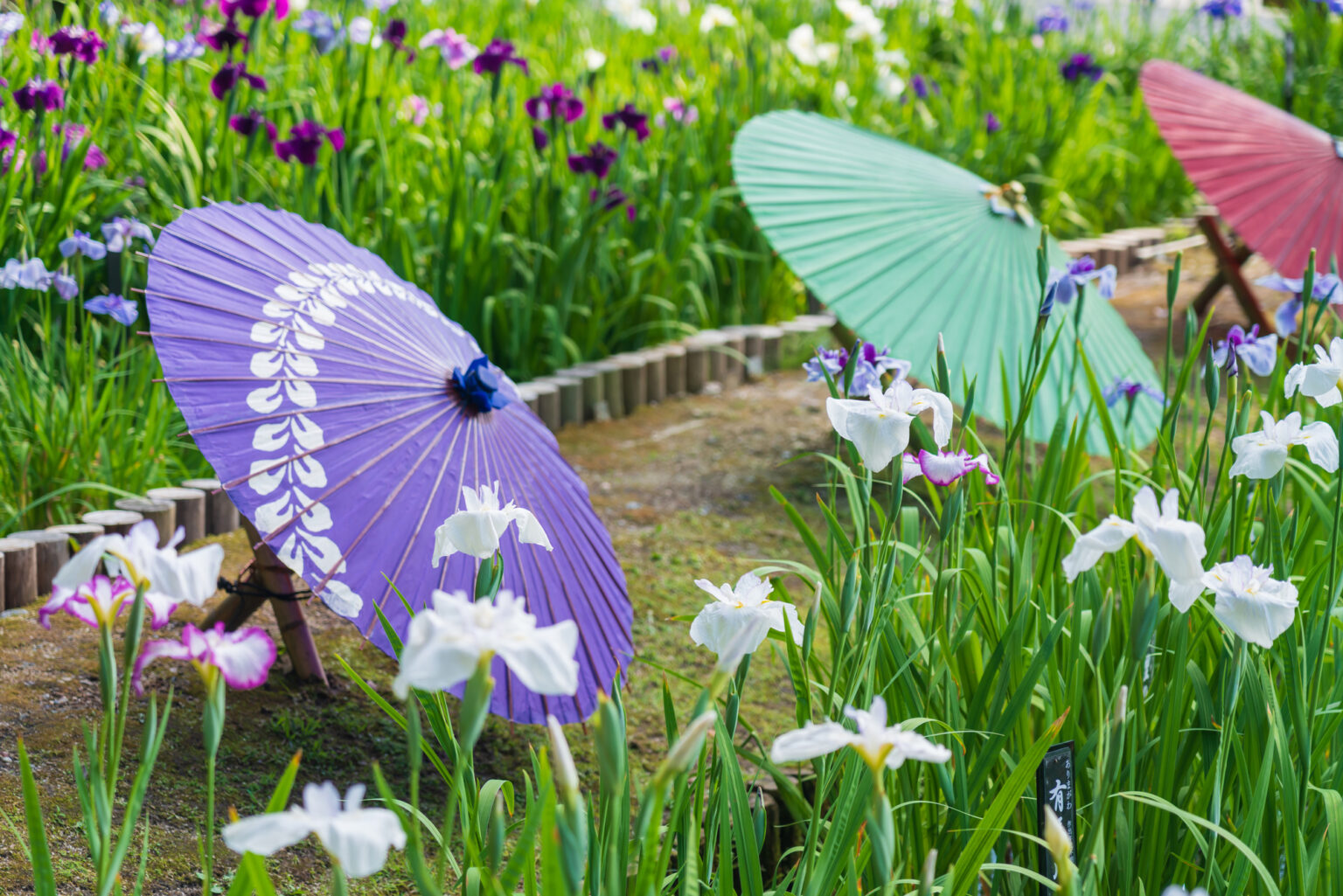 名古屋観光の雨の日でも楽しめる！おすすめスポット15選 | VELTRA旅行ガイド