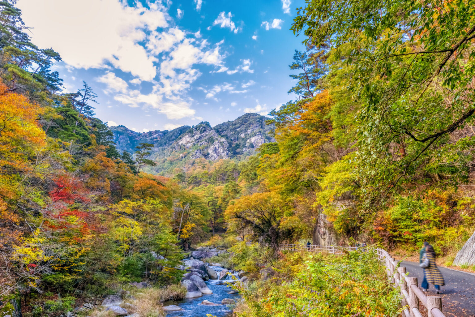 【山梨】観光モデルコース3選！ワイナリーや大自然を満喫しよう | VELTRA旅行ガイド