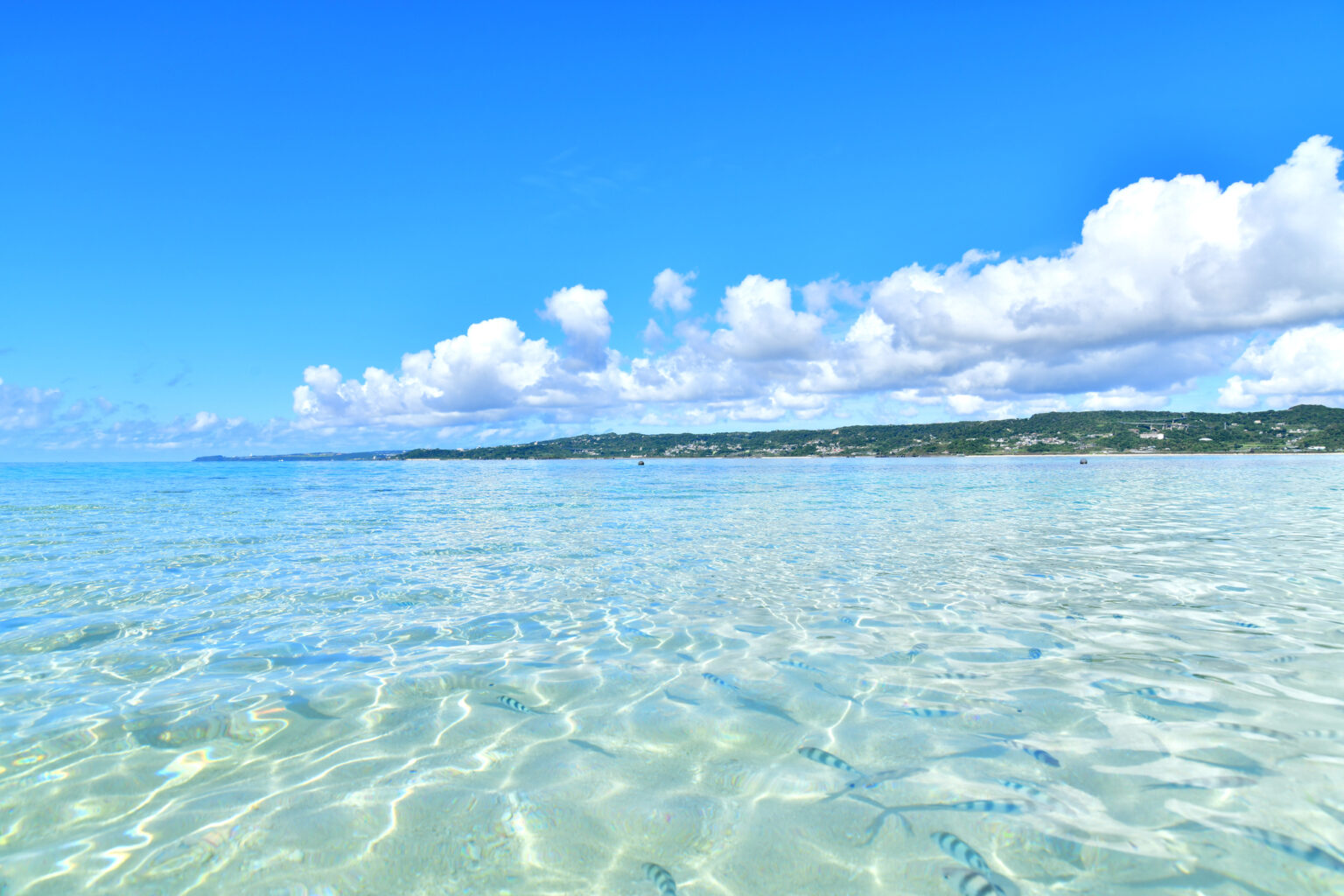 シュノーケリングに最適！宮古島の素敵なスポットを紹介 | VELTRA旅行ガイド