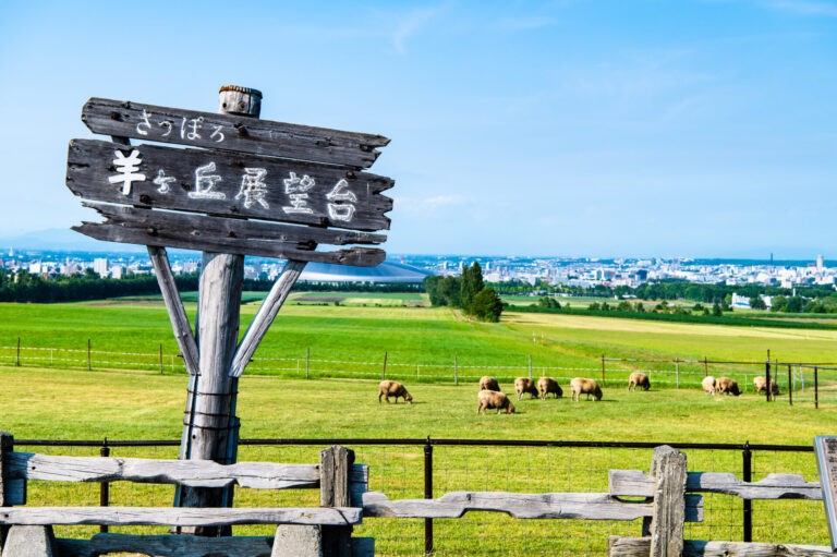 札幌観光モデルコース冬！2泊3日で巡るおすすめ観光スポット15選 | VELTRA旅行ガイド