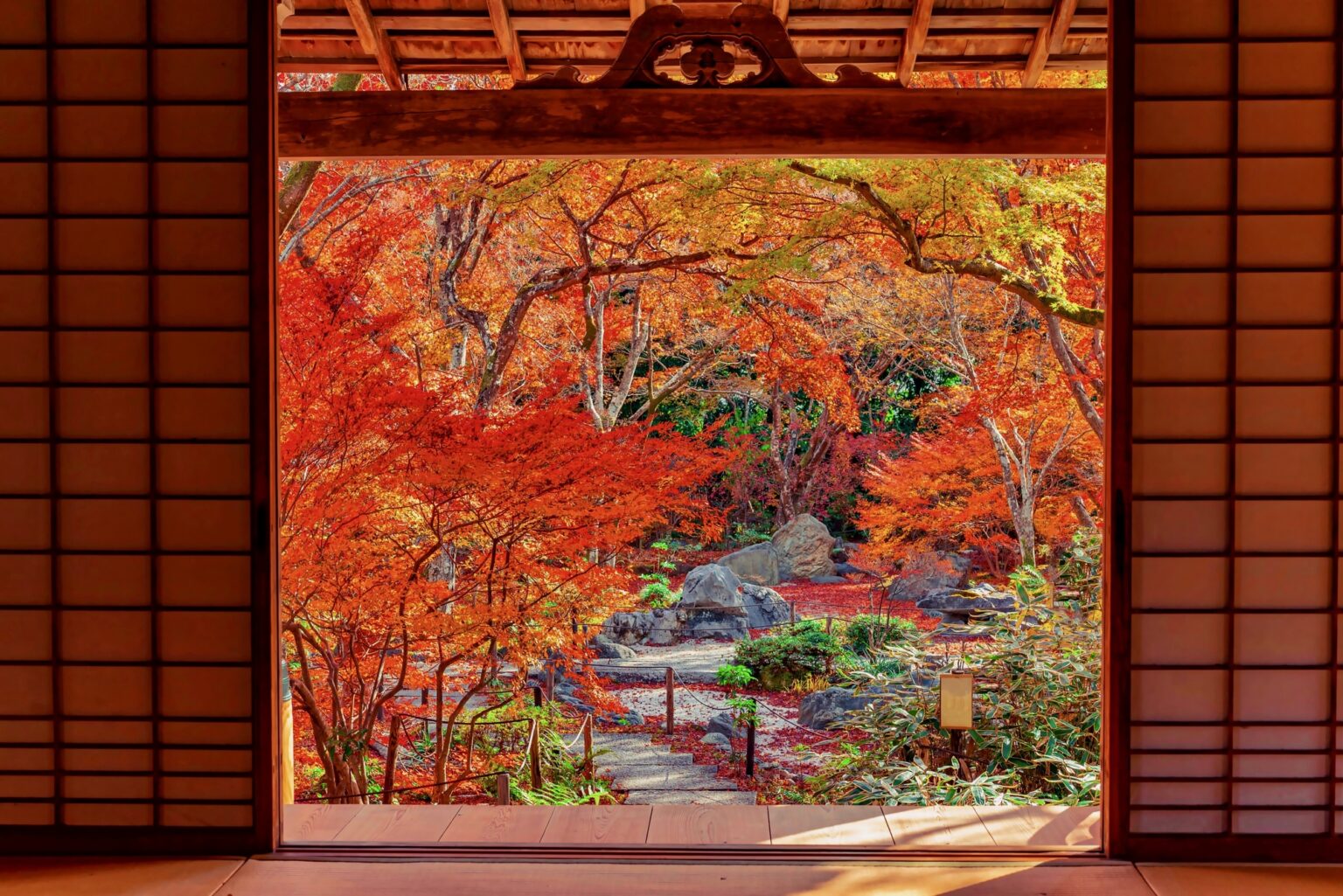 【京都日帰り】京都の紅葉を日帰りで満喫！おすすめモデルコースとライトアップ | VELTRA旅行ガイド