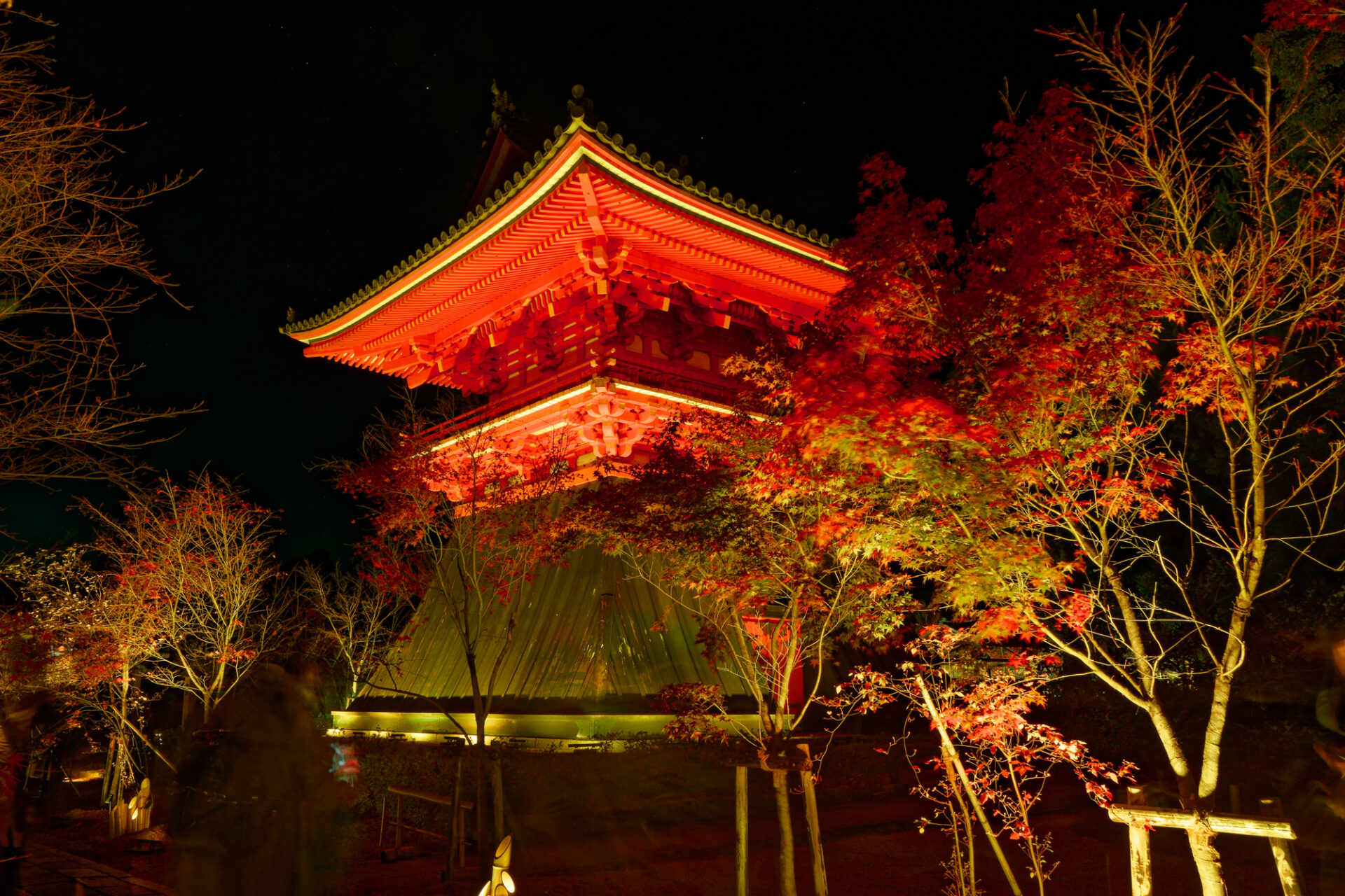 仁和寺紅葉ライトアップ2023！見どころと最新情報をお届け | VELTRA旅行ガイド