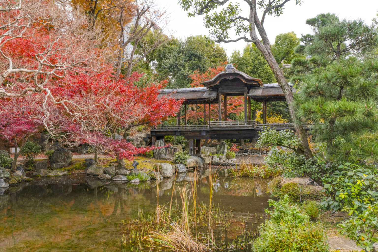 【京都観光】10月下旬おすすめスポット14選！紅葉の名所やグルメも | VELTRA旅行ガイド