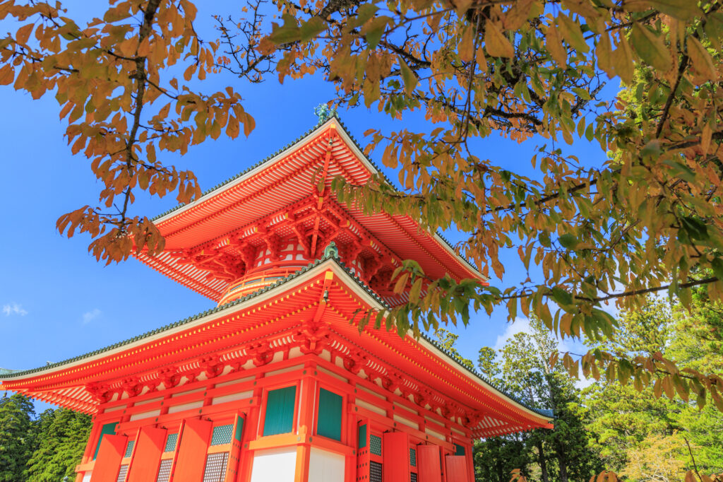 天童市の観光を満喫！2日間の最適なモデルコースとおすすめスポット5選 | VELTRA旅行ガイド