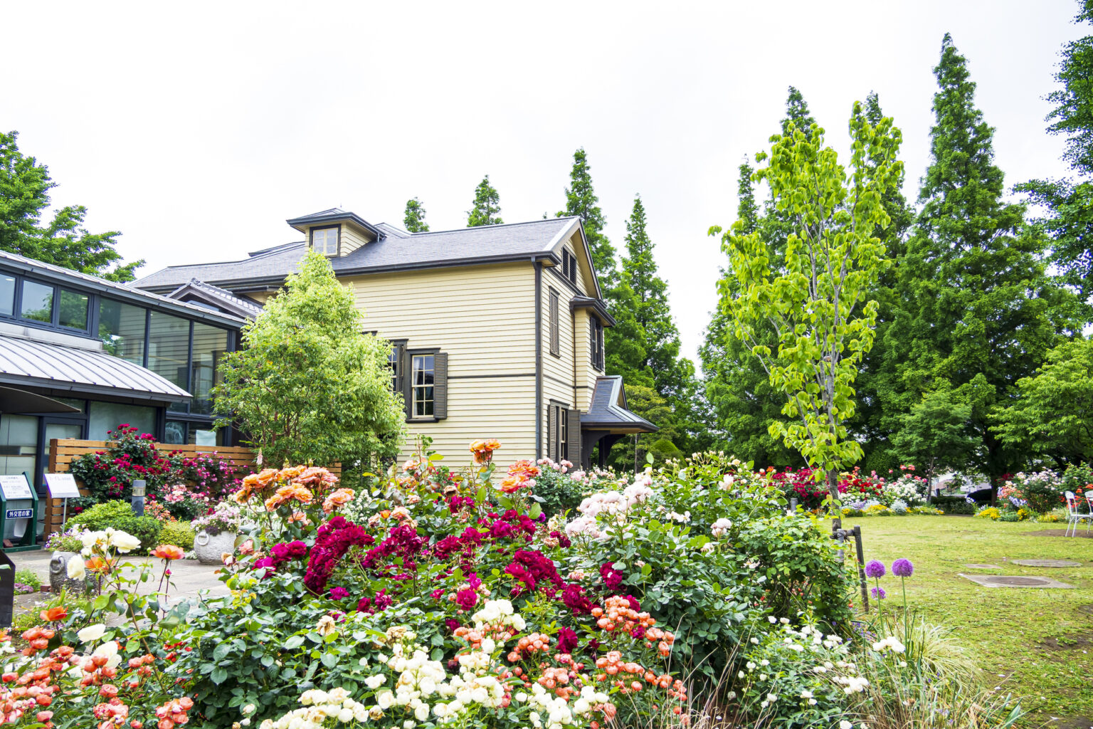 【神奈川県】日帰り旅行おすすめスポット28選！女子旅でもひとり旅でも楽しめる | VELTRA旅行ガイド