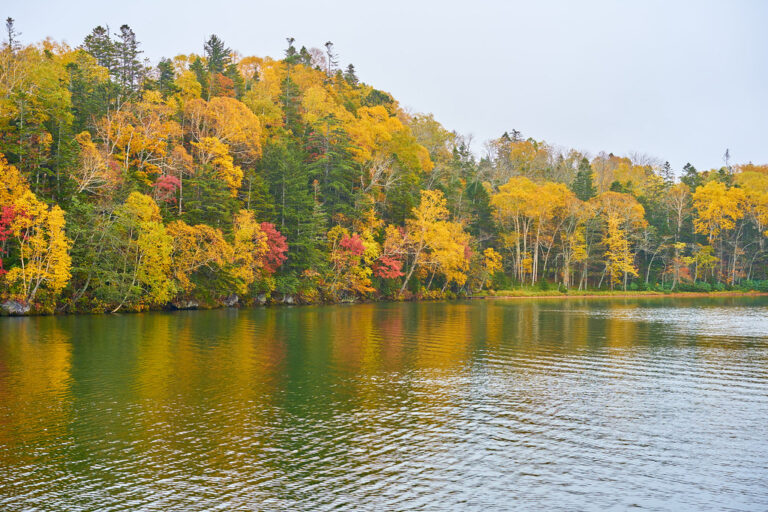 9月はベストシーズン北海道へ！紅葉・グルメ・絶景が楽しめる厳選12スポット | VELTRA旅行ガイド