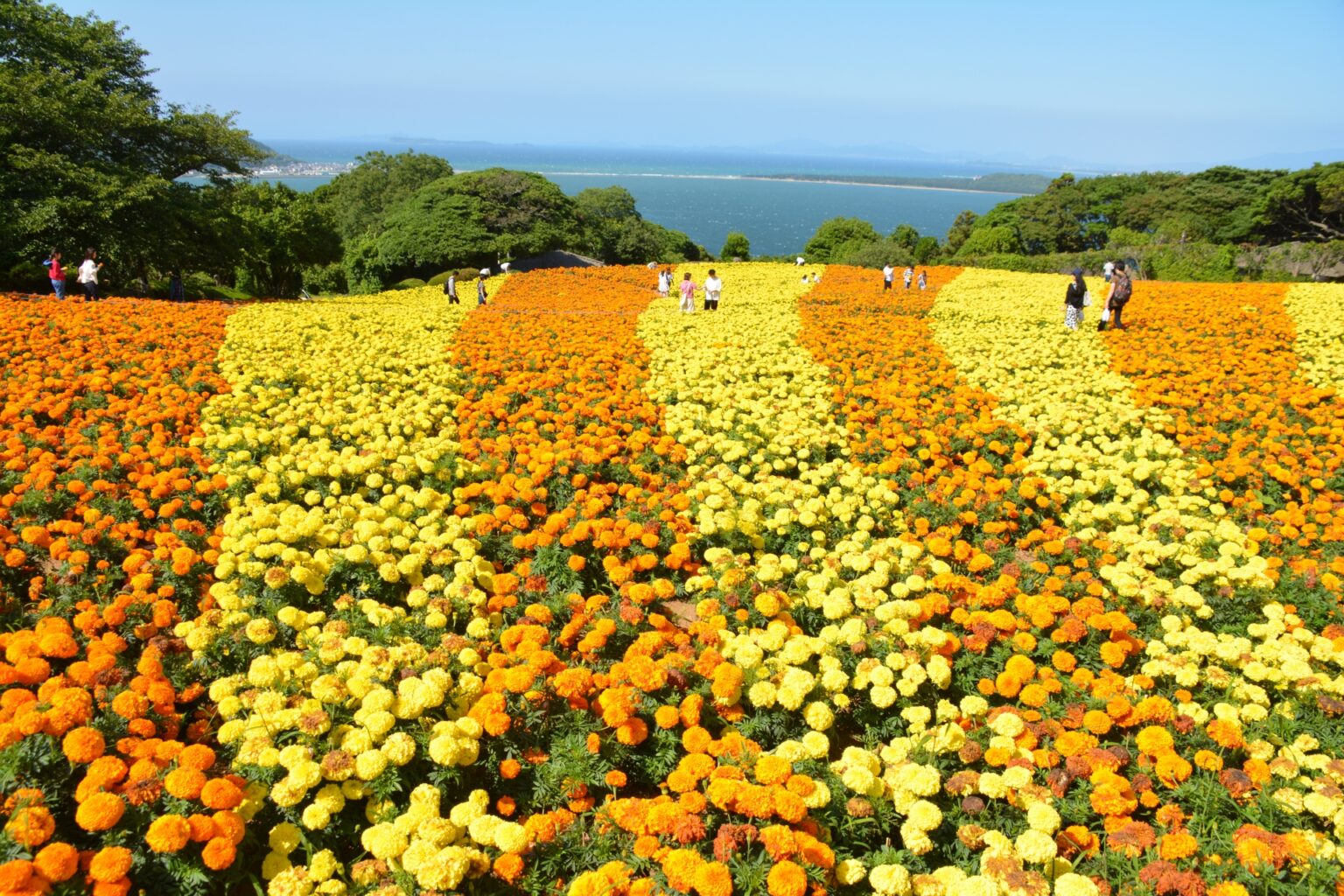 9月の能古島の観光を思いっきり楽しむ！おすすめスポット7選 | VELTRA旅行ガイド