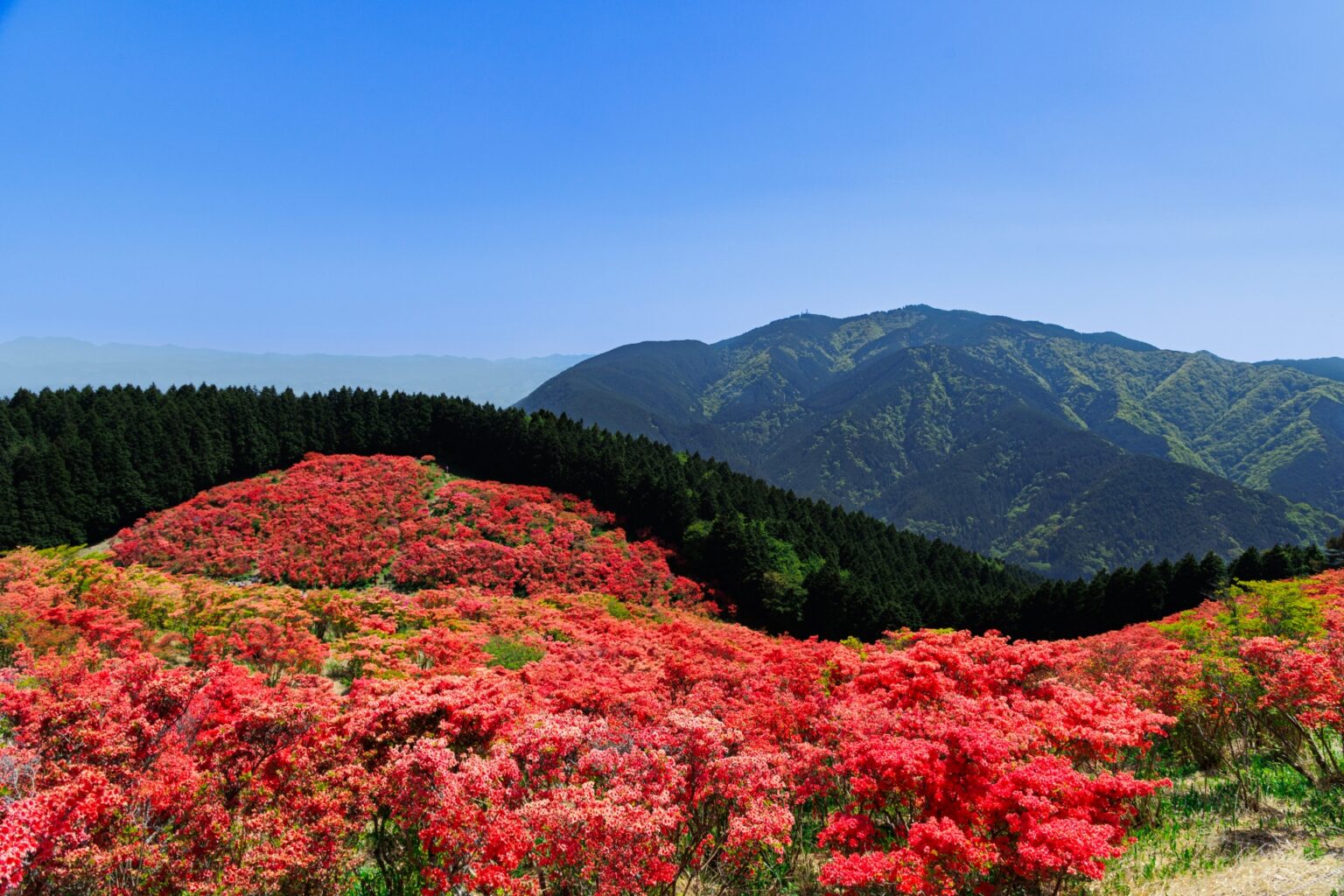 夏の奈良観光おすすめ18選！スポット・グルメ・体験などまるっとご紹介 | VELTRA旅行ガイド