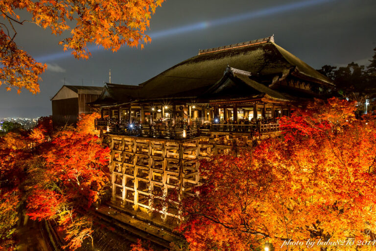京都で夜の観光！12月のおすすめスポット12選 | VELTRA旅行ガイド