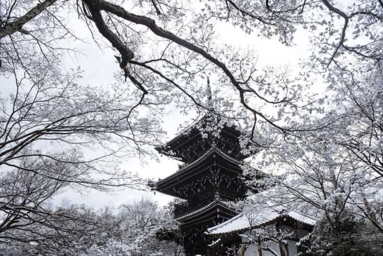 京都観光12月のおすすめスポット10選！冬の名所・イベント・グルメ | VELTRA旅行ガイド