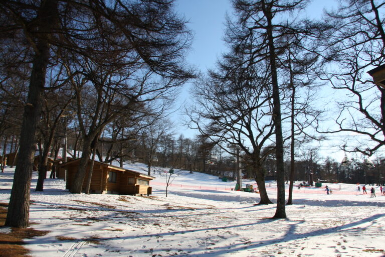 軽井沢の12月観光おすすめ13選｜絶景 & アクティビティ | VELTRA旅行ガイド