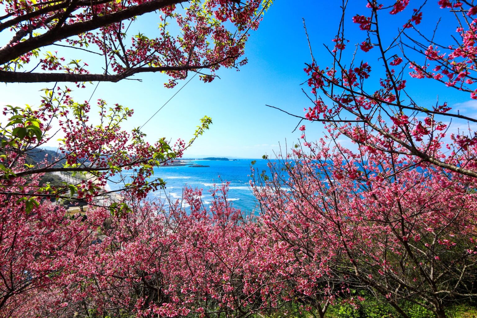 【沖縄】3月おすすめ観光スポット10選！一足早い沖縄の春を満喫しよう | VELTRA旅行ガイド