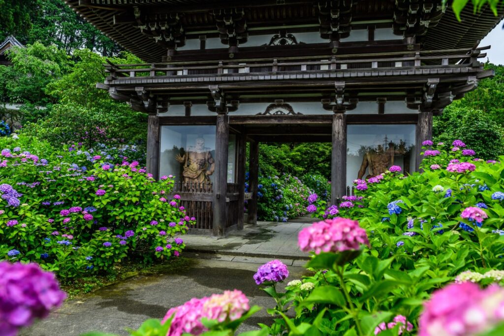 【京都】雨の日限定モデルコース！快適にしっとり楽しめる人気スポット | VELTRA旅行ガイド