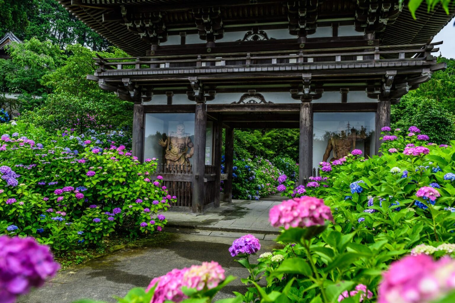 【京都】雨の日限定モデルコース！快適にしっとり楽しめる人気スポット | VELTRA旅行ガイド