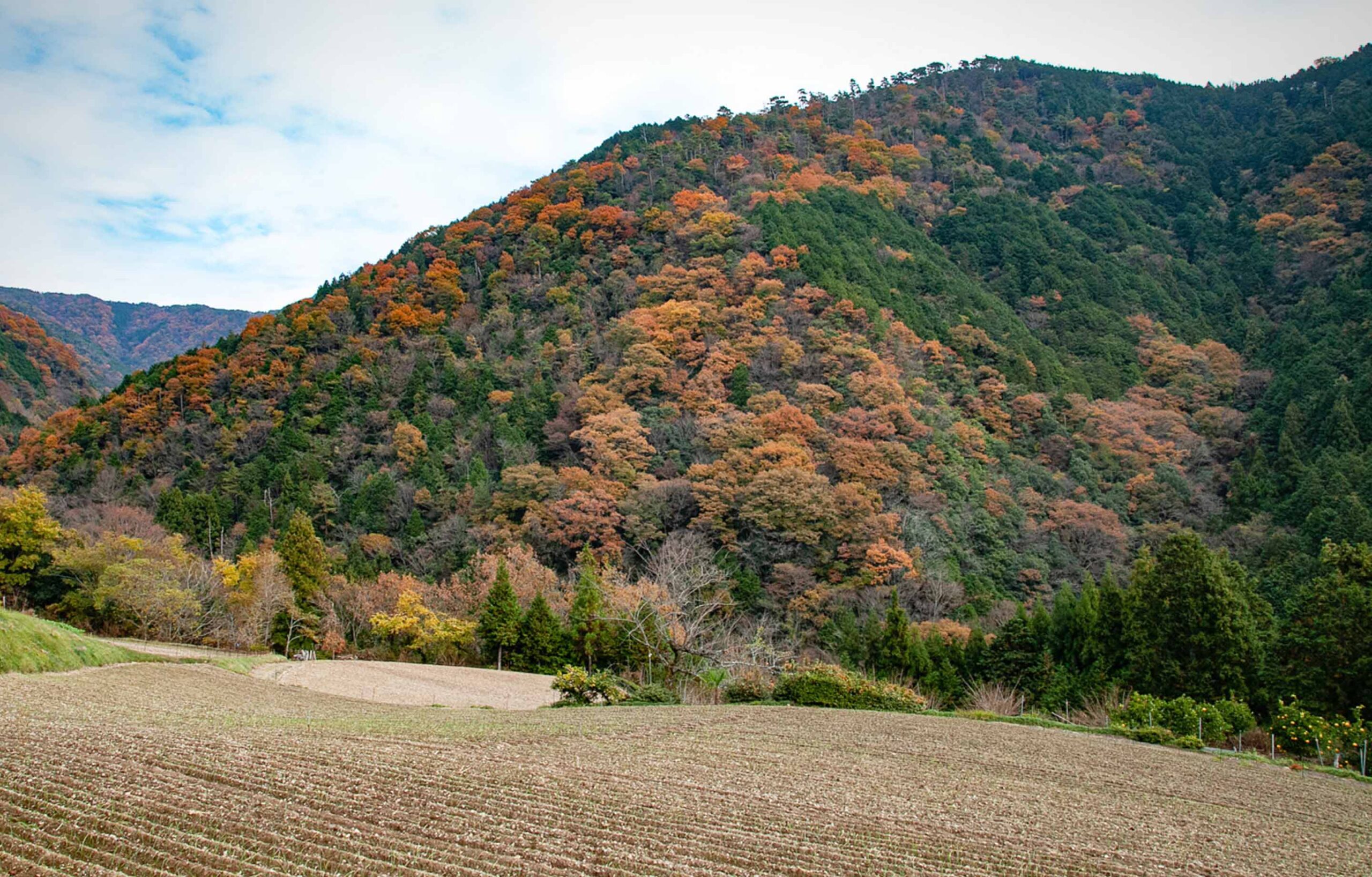 にし阿波 山村の暮らし体験と感謝の食卓 | VELTRA（ベルトラ）