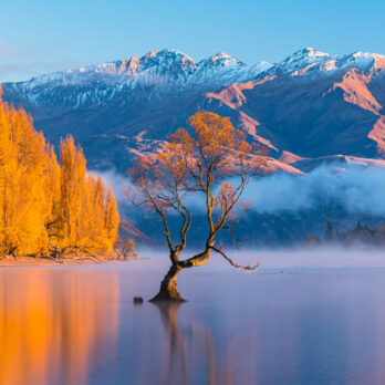 ニュージーランド・四季の絶景 | VELTRA（ベルトラ）